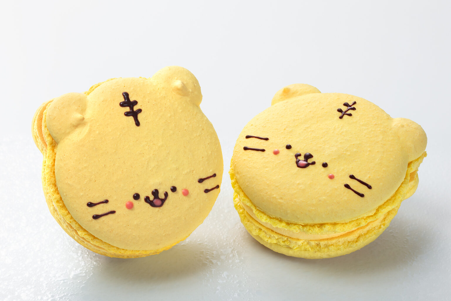 KEYAKI SWEETS『アニマルマカロン』自動販売機登場!!｜仙台駅前イービーンズ